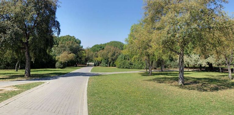 Parque del Alamillo, un pulmon verde en Sevilla para disfrutar con niños
