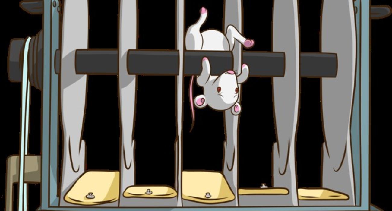 Campamento de Ratones en la Casa de la Ciencia - Sevilla con los peques